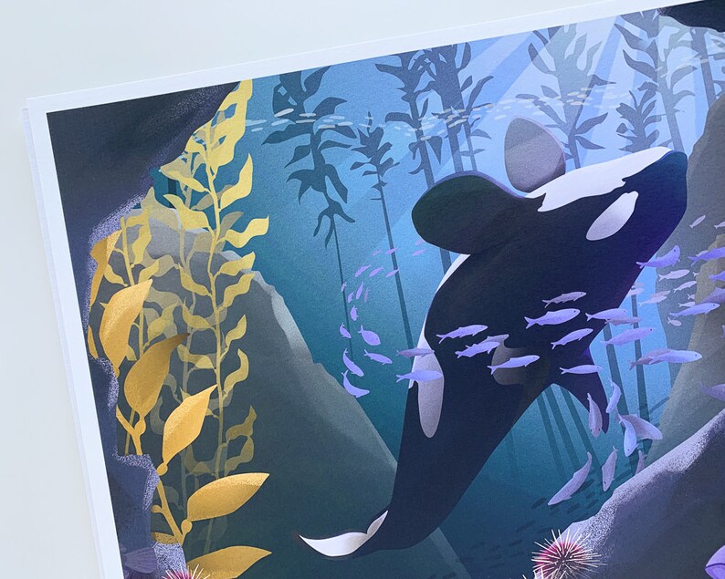 Orca Kelp Forest Illustration Print Giclee Art Print - Etsy