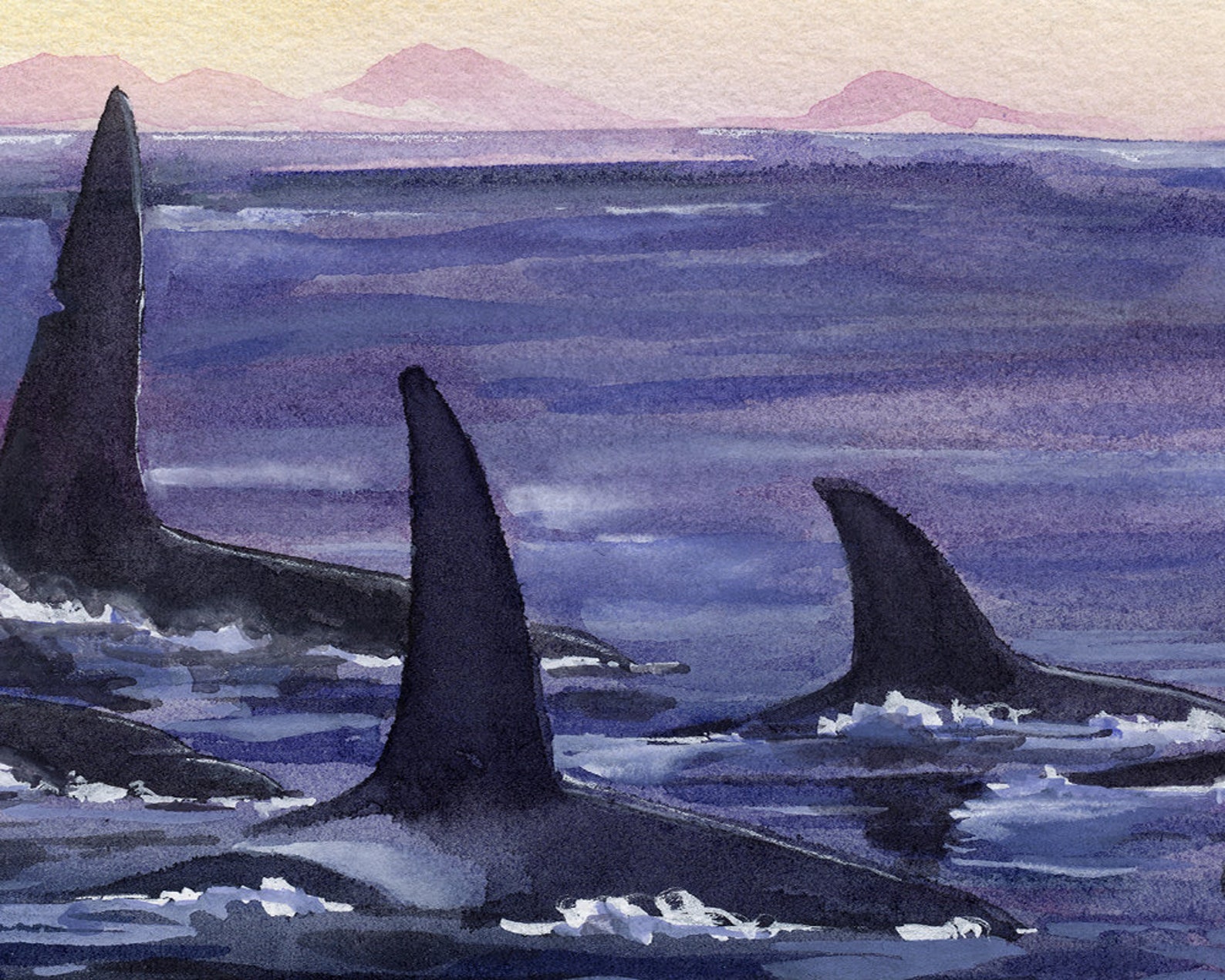 Orca Pod Sunset Watercolor Print Giclee Art Print 5 - Etsy