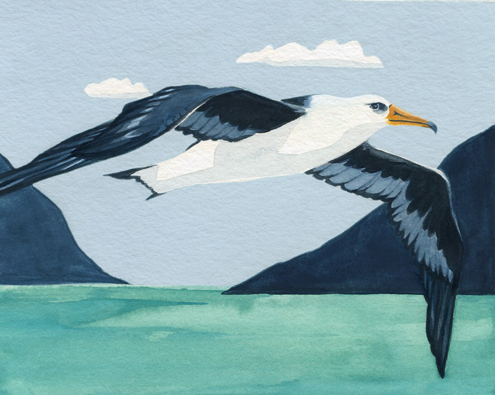 Albatross Sea Bird Watercolor Print 5 X 7 - Etsy