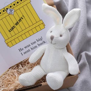 Organic Bunny Rabbit Soft Toy, New Baby Gift, Bunny Rabbit Baby Gift ...