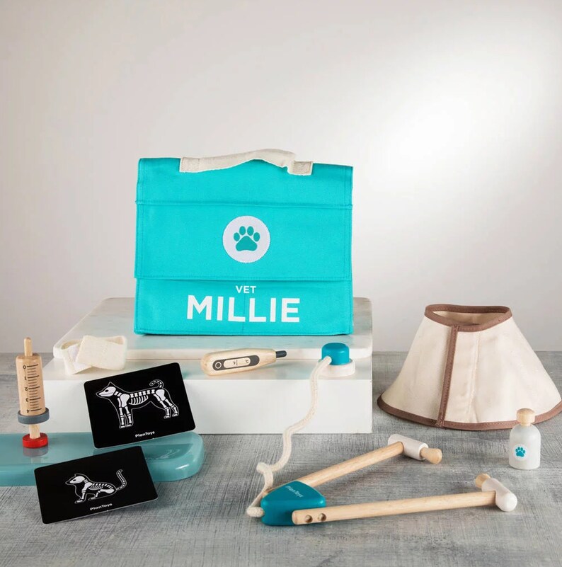 Personalised Wooden Vet Set Toy - Etsy