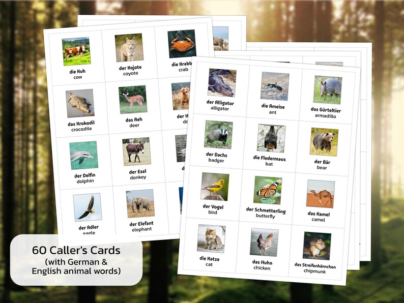 German Animal Bingo: 20 Printable Cards | Vocabulary Game for Kids (PDF ...
