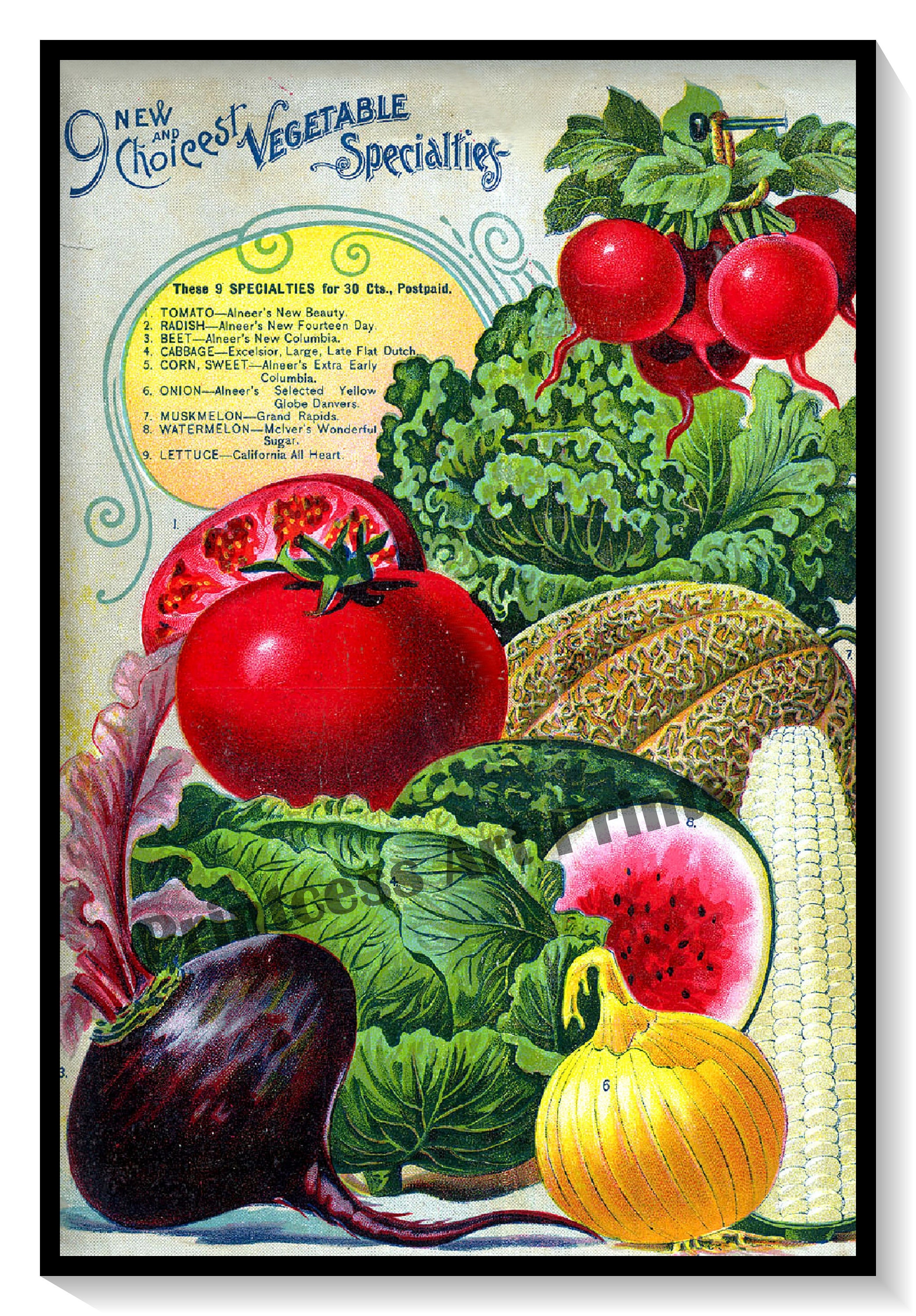Vegetable Vintage Seed Catalogue Covers Set of 9 Art Prints Peas Beans ...