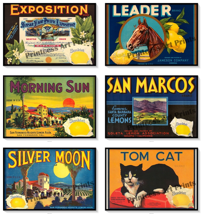Vintage Lemon Crate Labels Set of 6 Art Prints Lemons Citrus Fruit ...