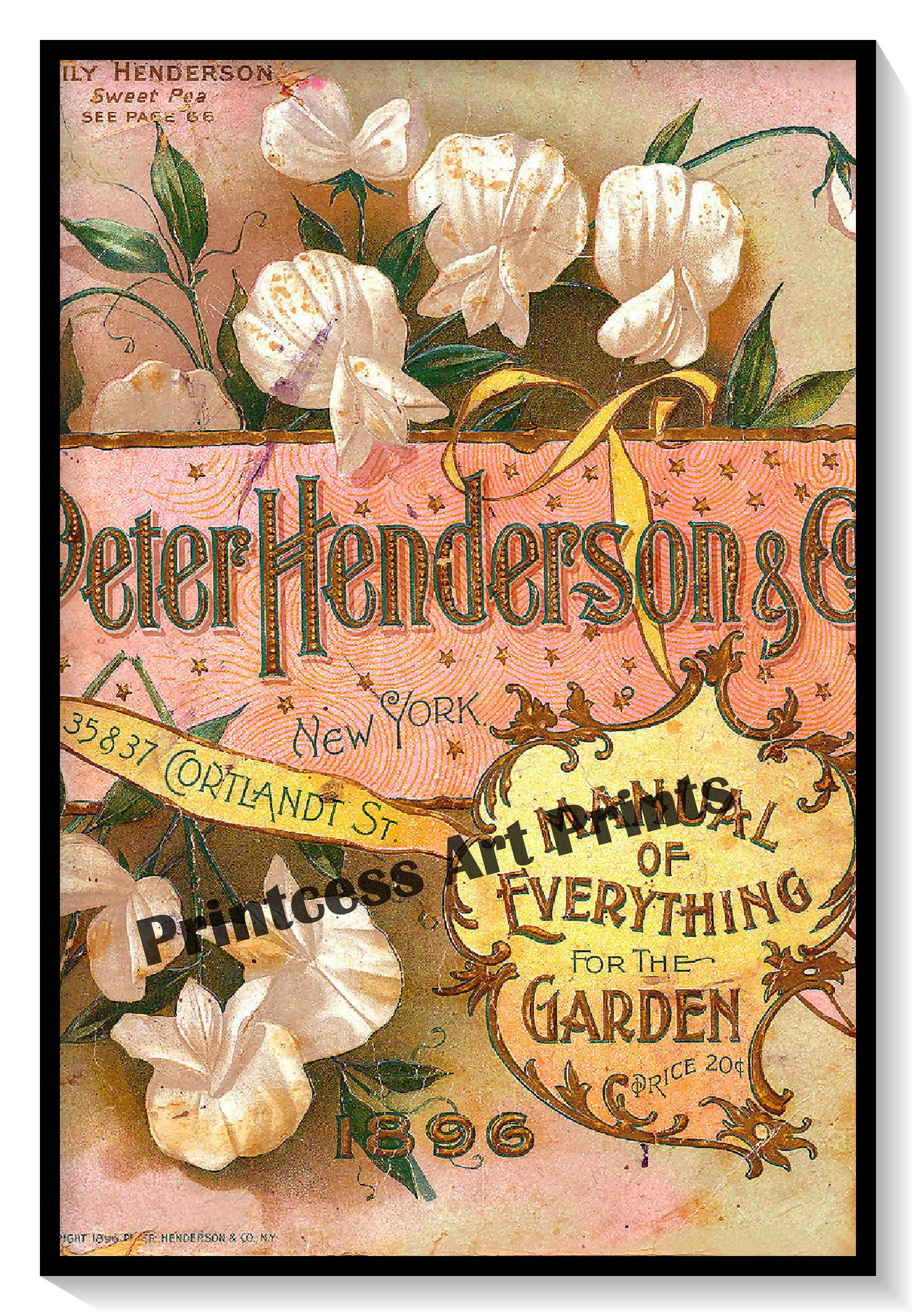 Set of 9 Sweet Peas Vintage Flower Seed Catalogue Covers Art - Etsy