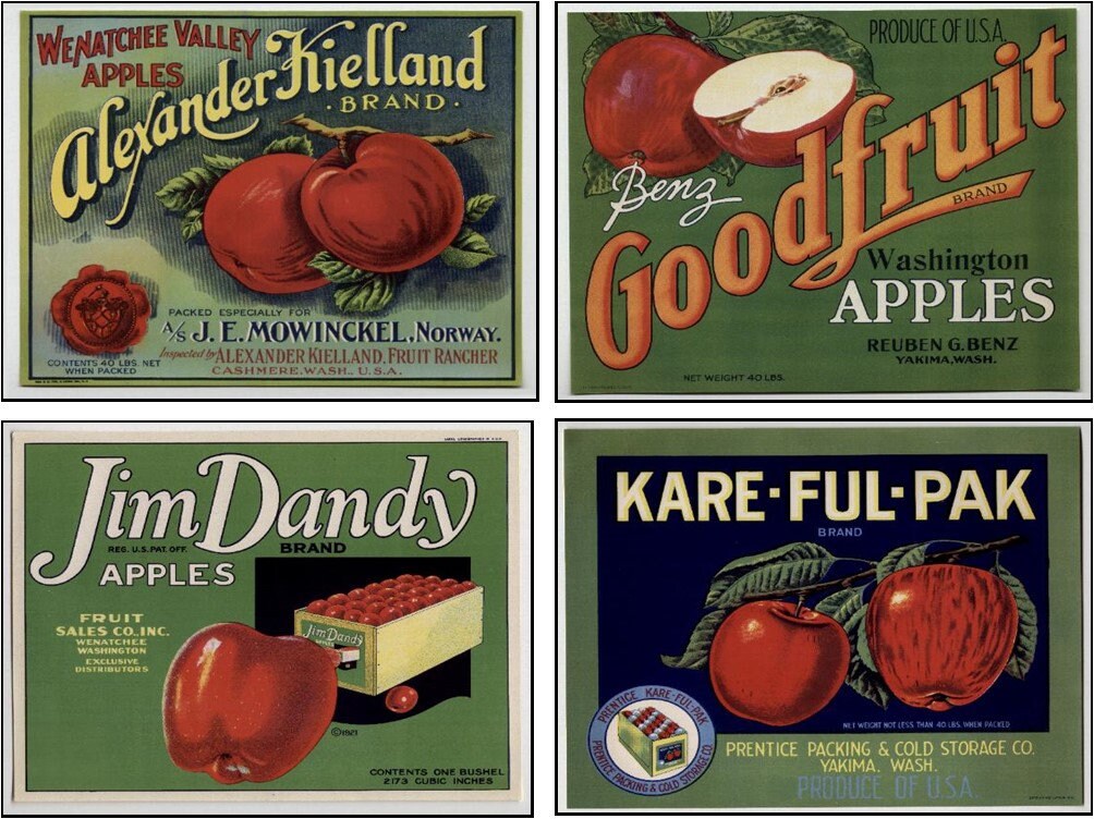 Vintage Fruit Crate Apple Labels Set of 4 Art Prints - Etsy