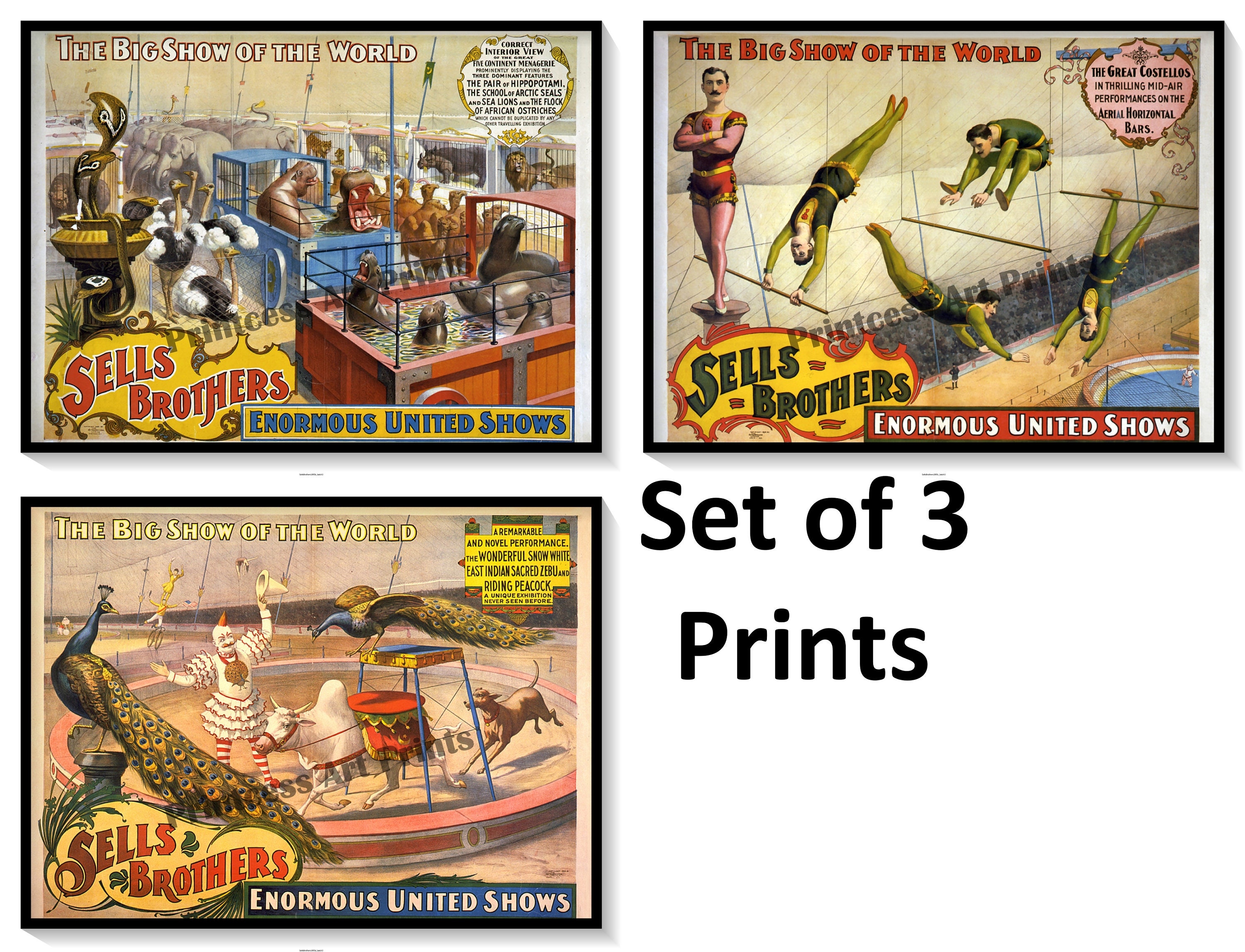 Sells Brothers United Shows Vintage Circus Posters Set of 3 - Etsy