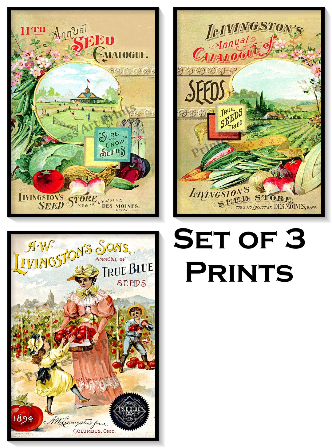 Livingston Seeds Vegetables Catalogue Vintage Seed Garden Manual Set of ...