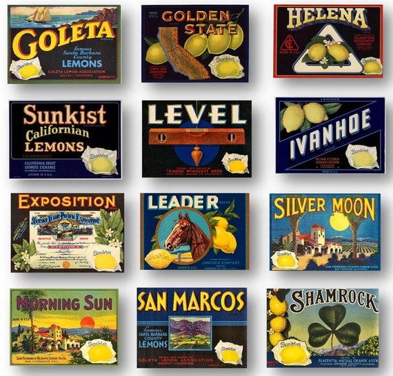 Set of 12 Prints Vintage Sunkist Lemon Crate Labels Lemons | Etsy