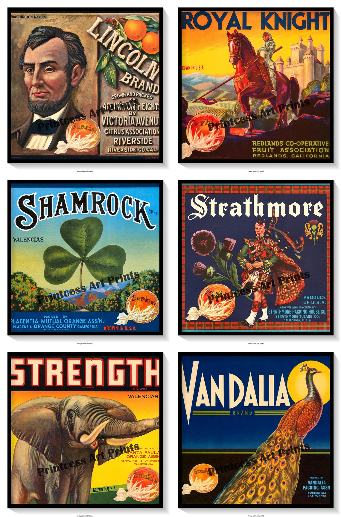 Vintage Sunkist Orange Crate Labels Set of 6 Art Prints Oranges Citrus ...