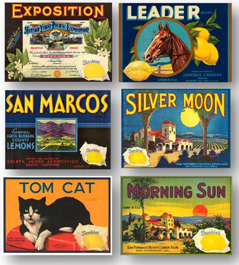 Vintage Lemon Crate Labels Set of 6 Art Prints Lemons Citrus - Etsy Canada