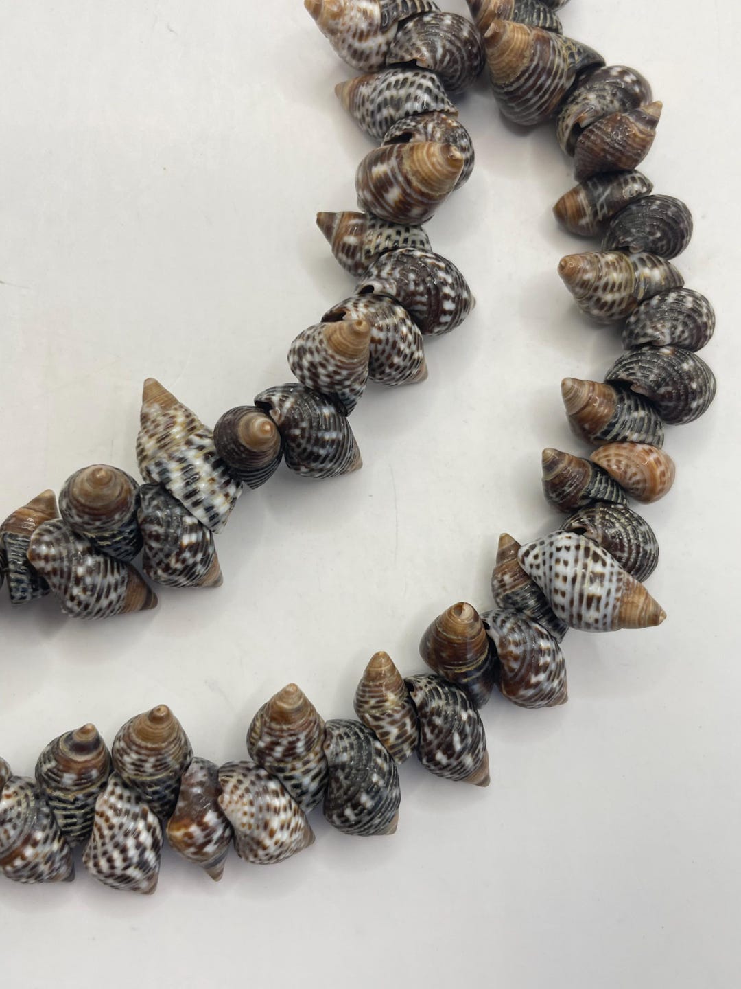 Spiral Conch Whole Shell Beads. 15" Strands, Approximately 92-94 Beads ...