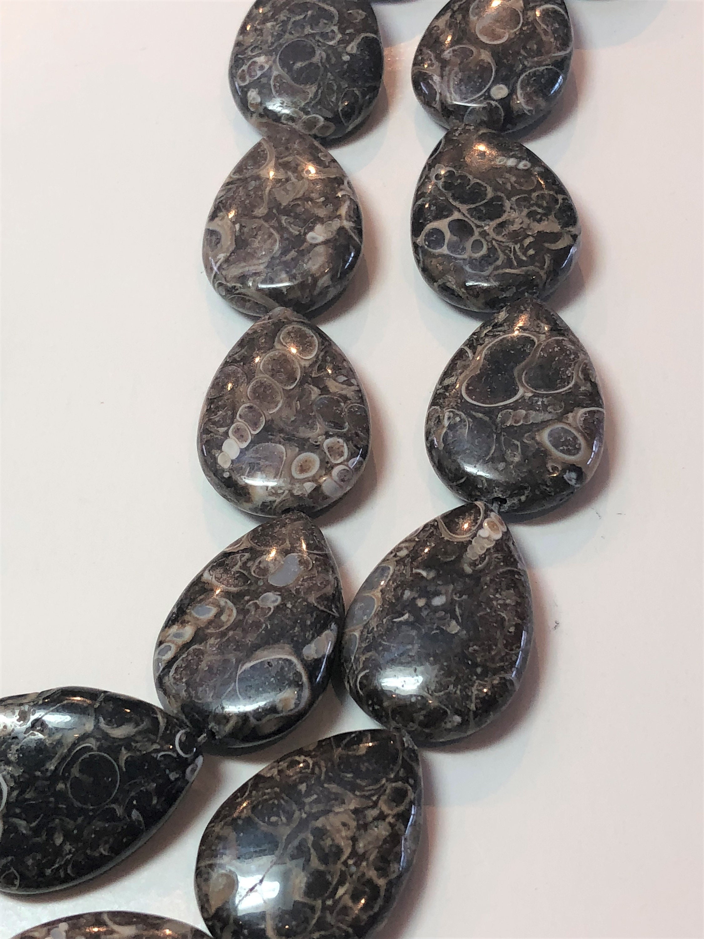 18x25mm Flat Pear Turritella Agate on 15" Strand. Beautiful AA/AAA ...
