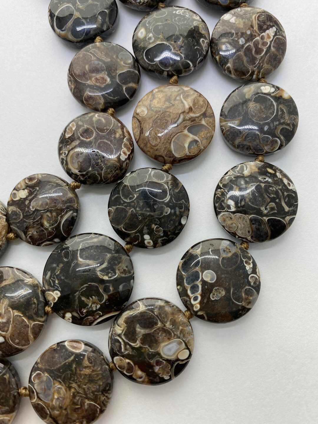 Large Puff Coin Shaped Turritella Agate on 15" Strand. Sizes Range From ...