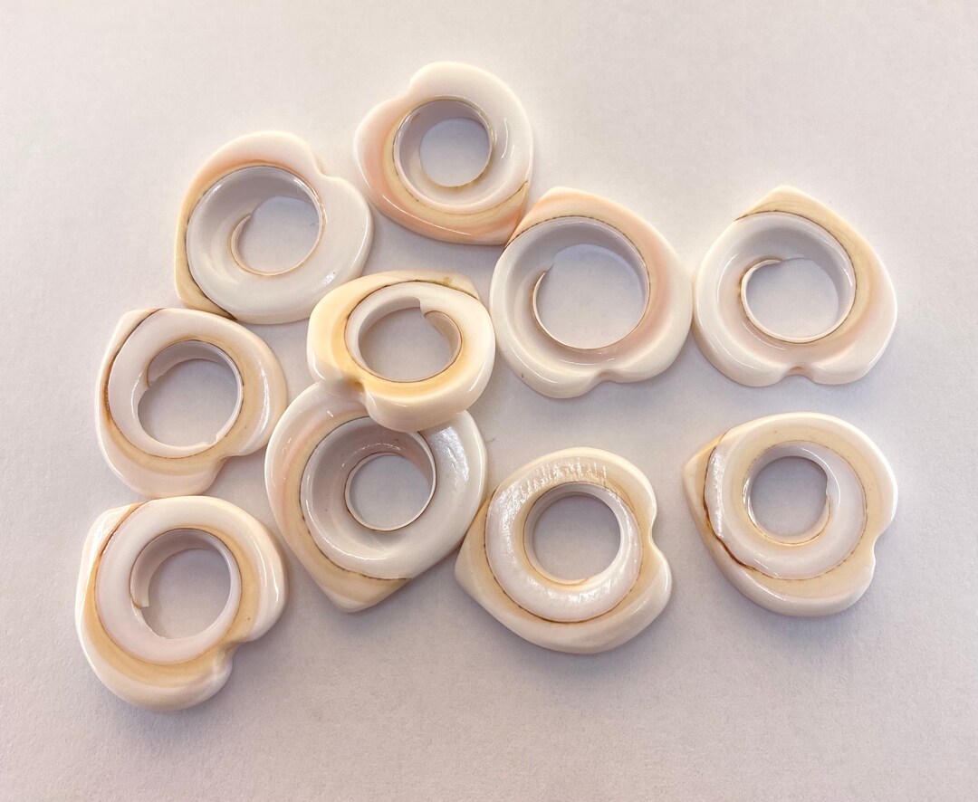 20mm Luanos Shell Slice Pendants. Top-drilled Peach and White Shell ...