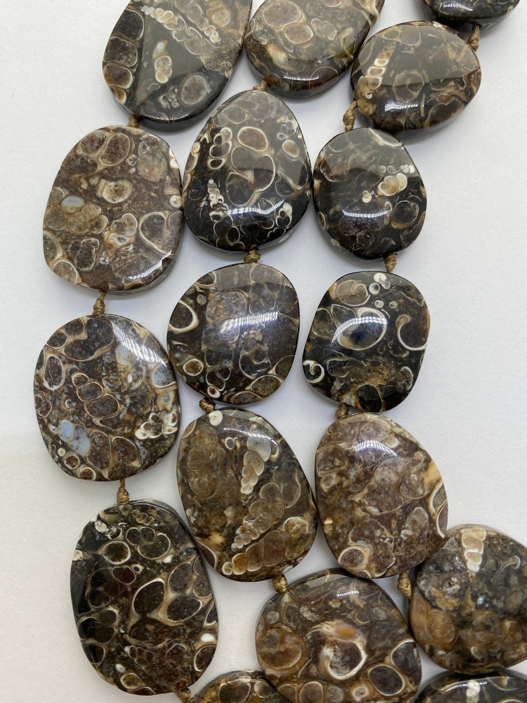 Large Freeform Turritella Agate on 15" Strand. Sizes Vary but Approx ...