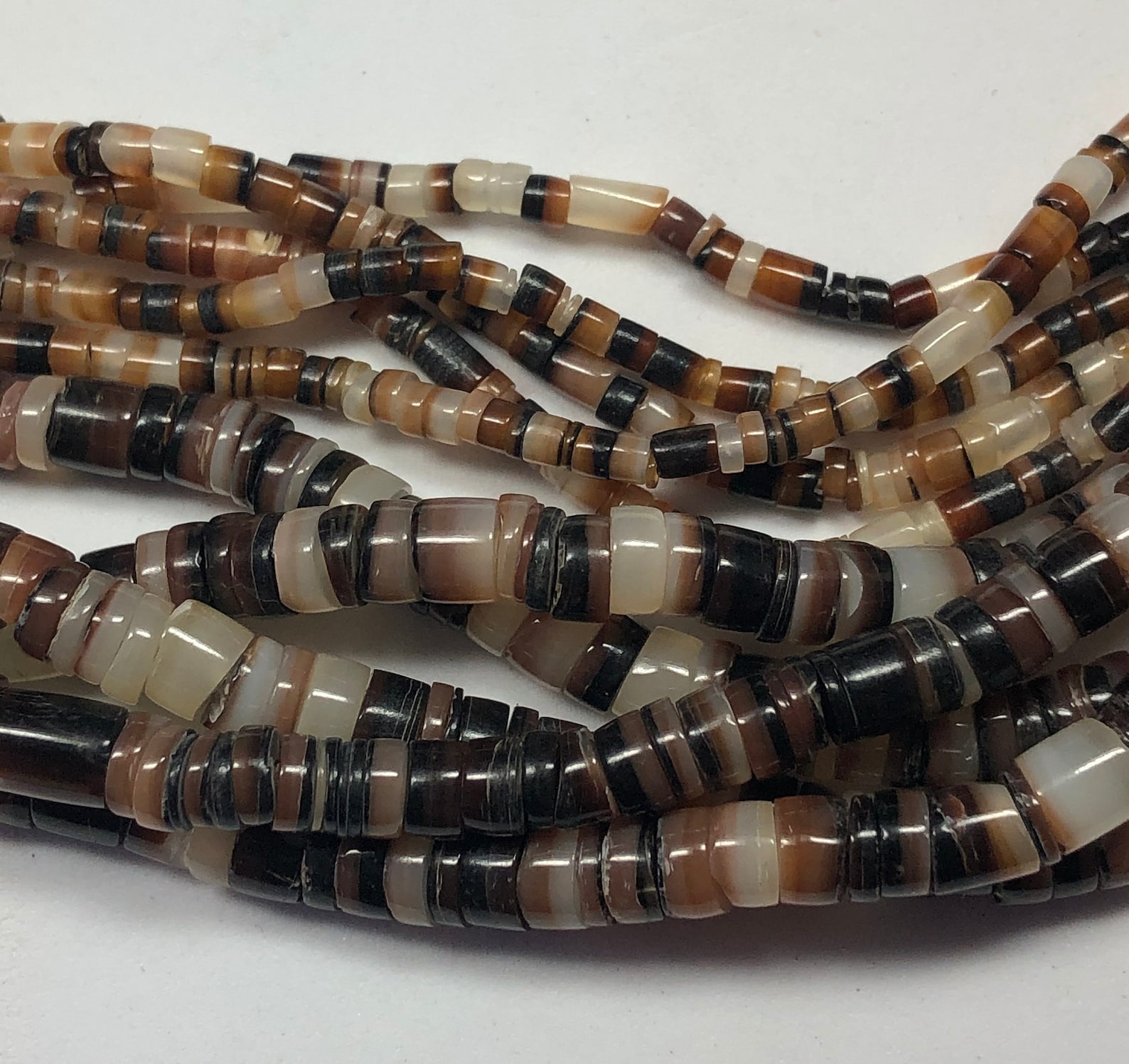 Brown Lip Snail Shell Heishi Beads. Long 24 Strands of - Etsy