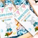 Easter Bunny Favor Tags, Easter Bunny Thanks Tags, Easter Party Favors ...