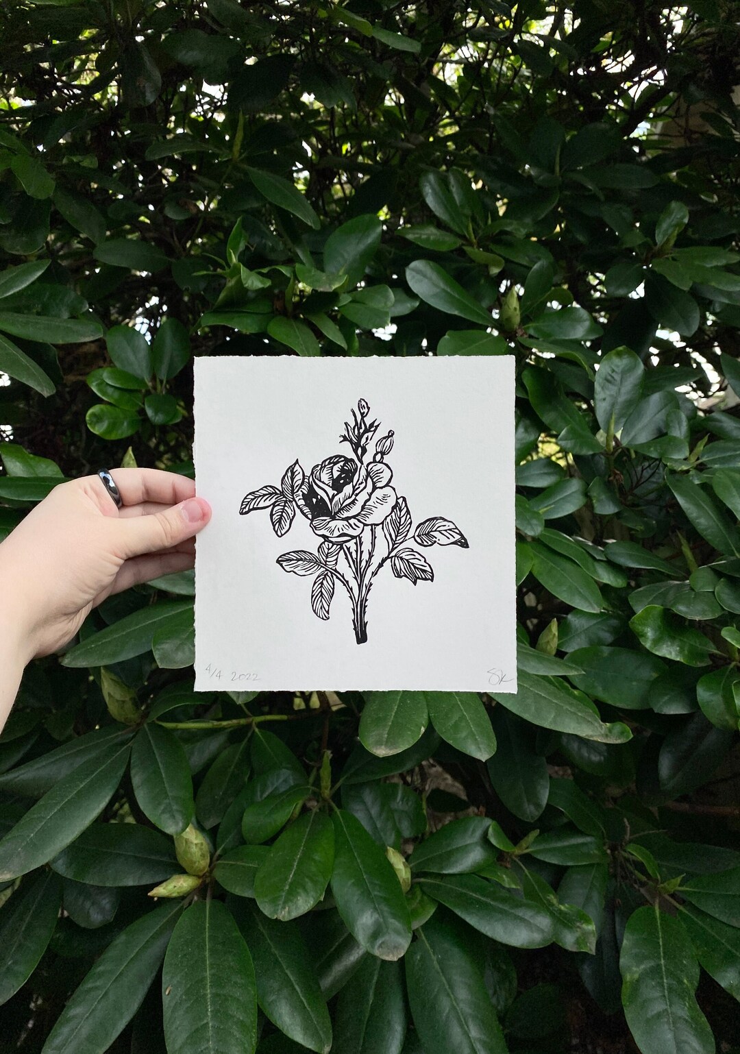 Single Rose Linocut Print Thyme & Space Design - Etsy
