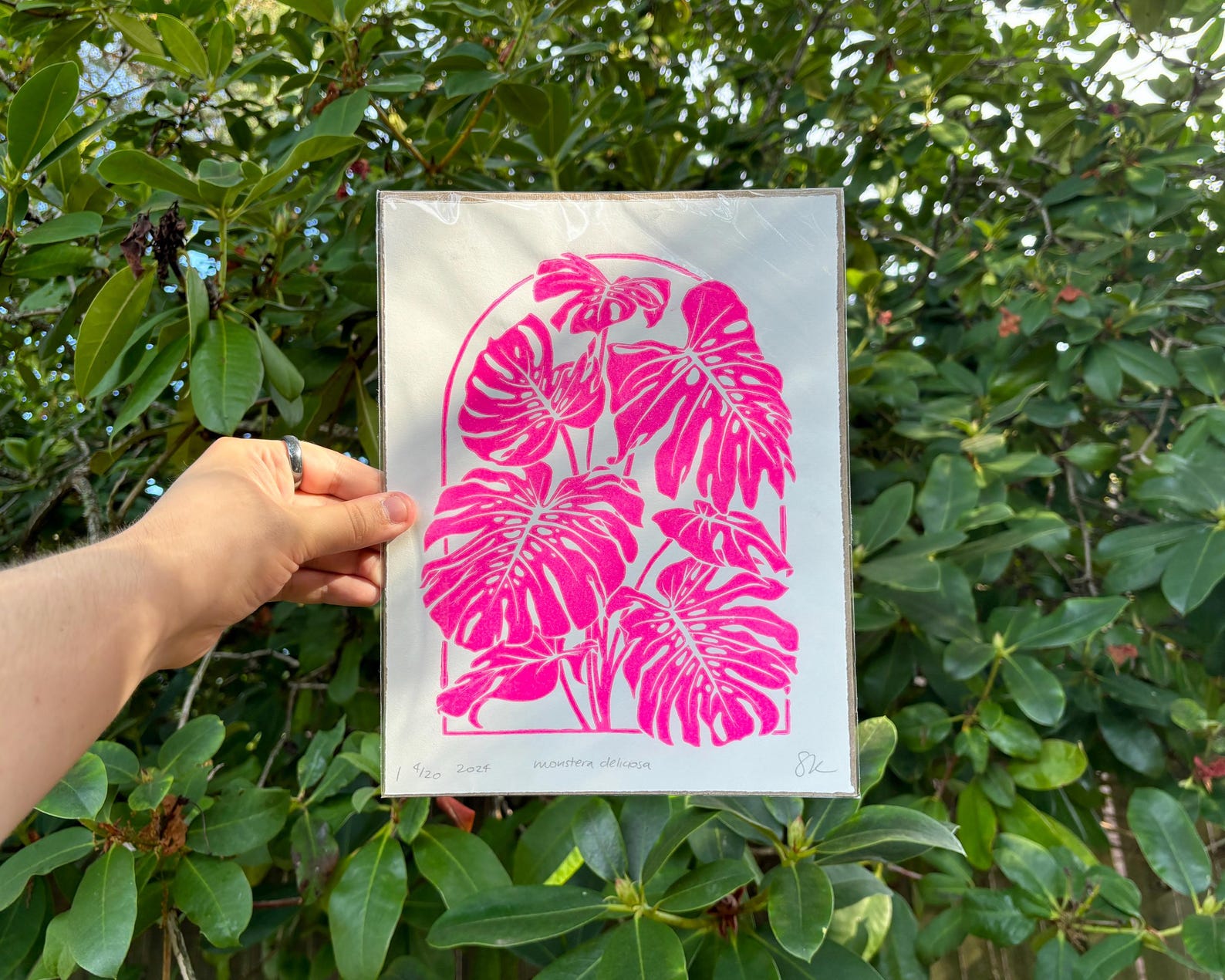 Pink Monstera Deliciosa Linocut Print Thyme & Space Design - Etsy