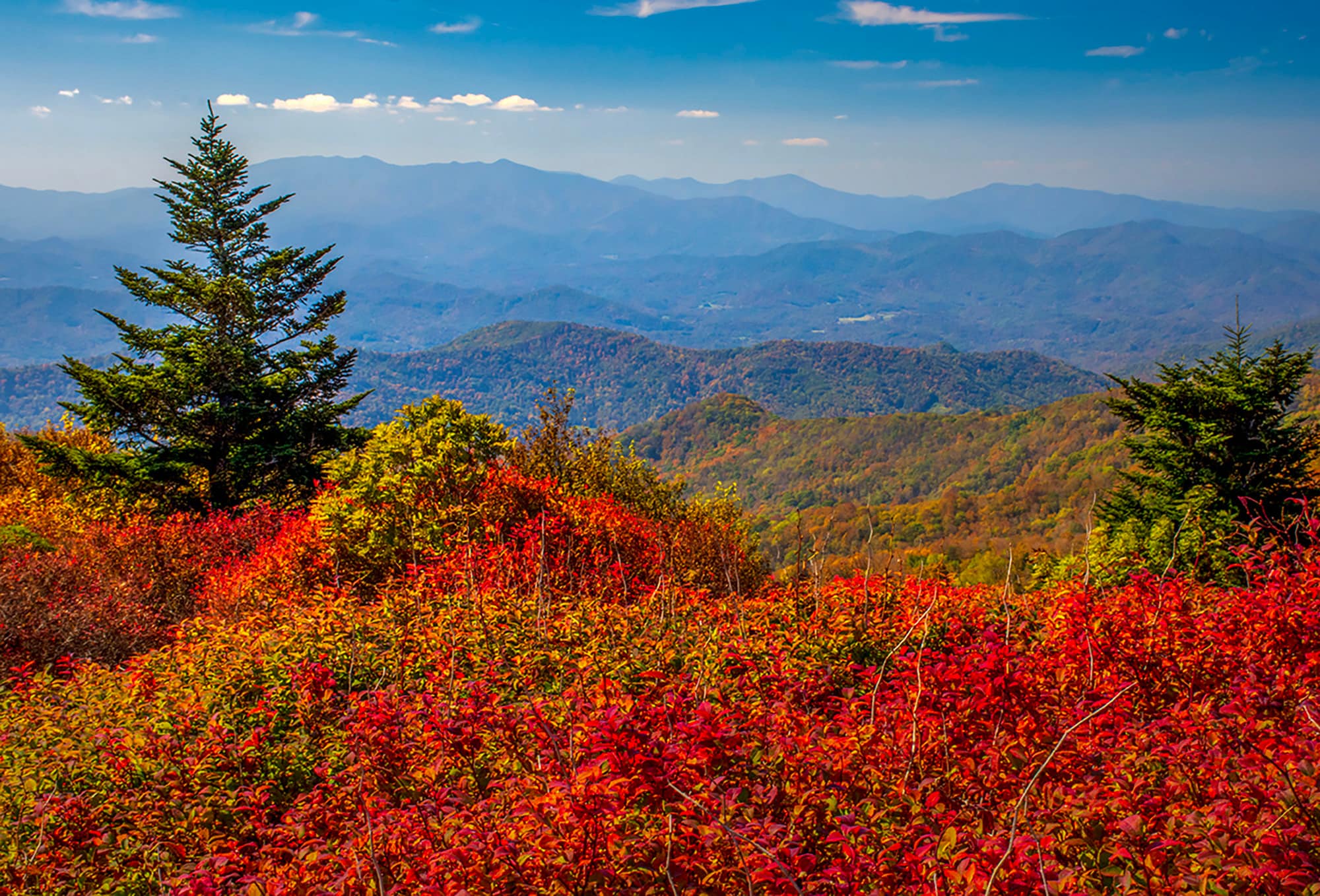 Roan Mountain Fall Color Metal Print: Appalachian Landscape Photography ...
