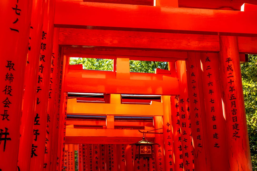 Kyoto Tori Gates Metal Print: Japanese Temple Photography, Fushimi ...