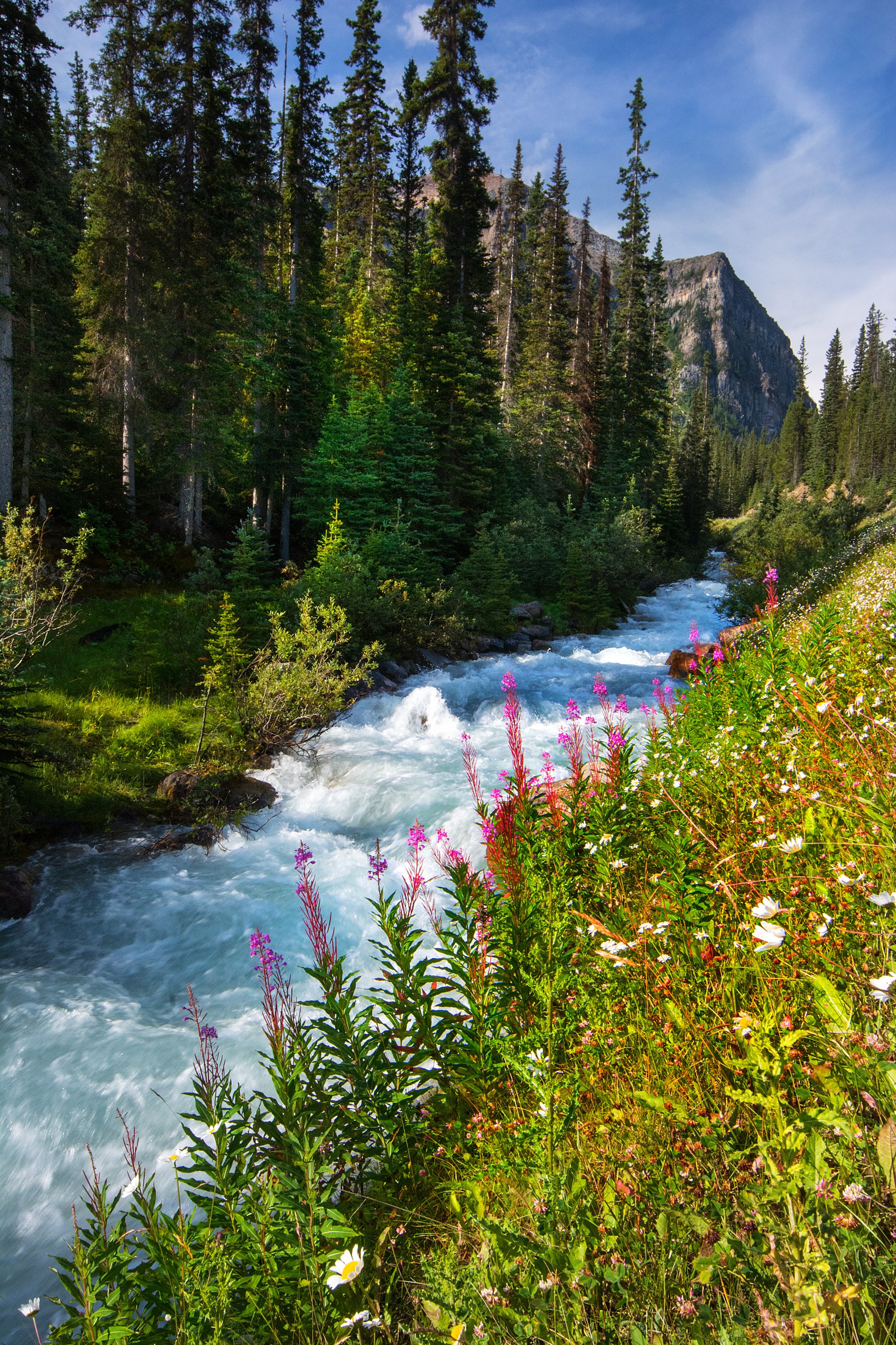Mountain Stream With Flowers