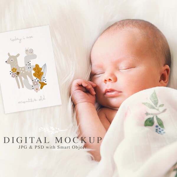 Milestone Cards - Etsy