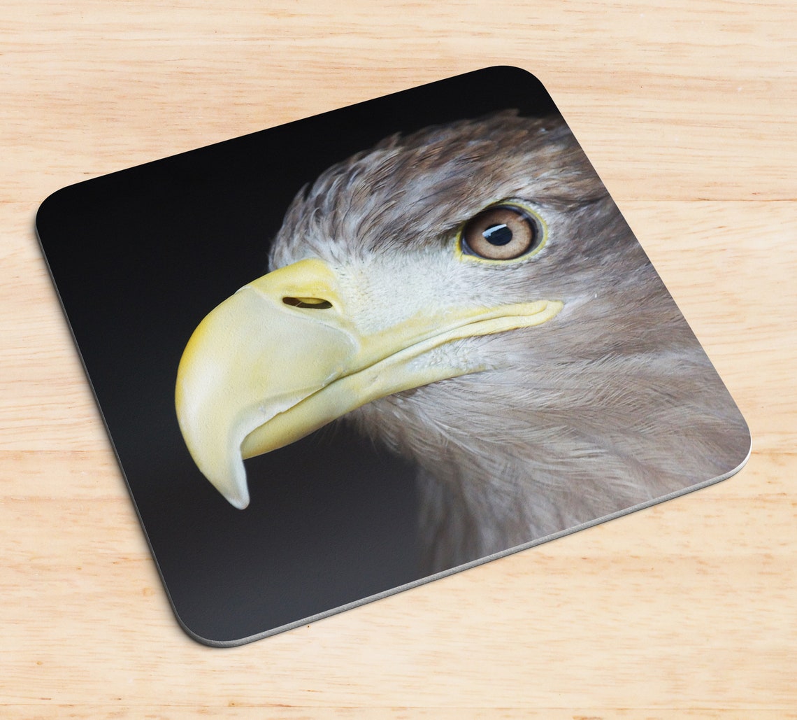 Bird of Pray Coasters Drinks Coaster Art Coasters - Etsy UK