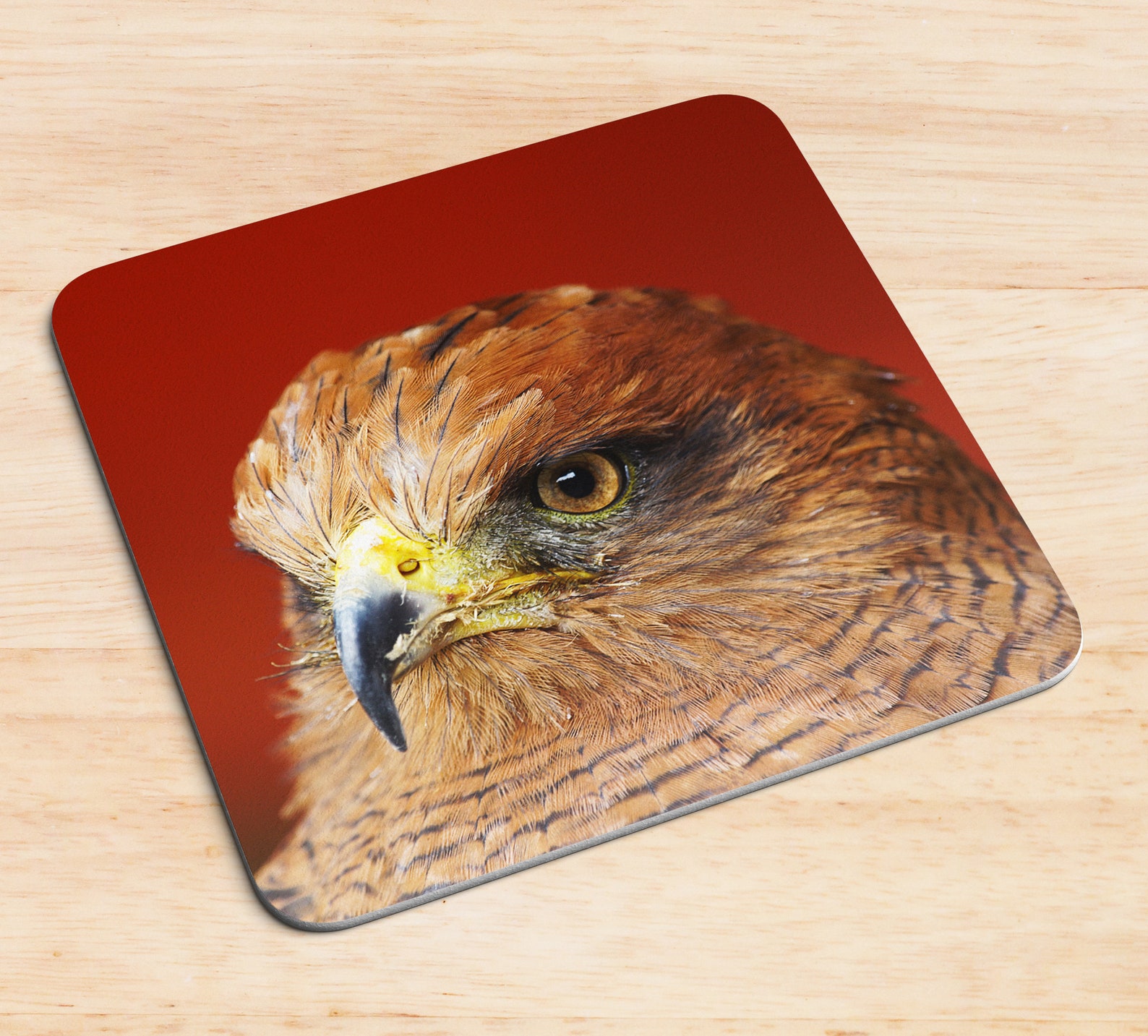Bird of Pray Coasters Drinks Coaster Art Coasters - Etsy UK