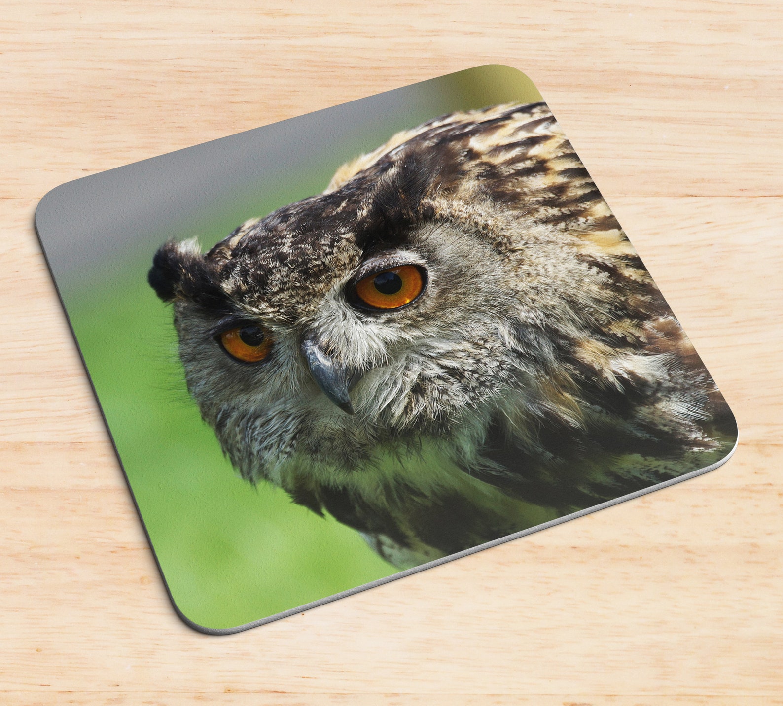 Bird of Pray Coasters Drinks Coaster Art Coasters - Etsy UK