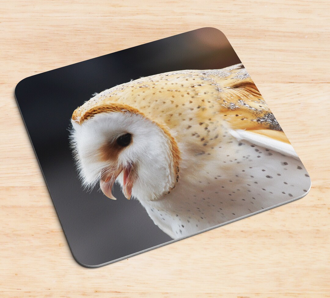Bird of Pray Coasters | Drinks Coaster - Art Coasters| Coasters | New ...