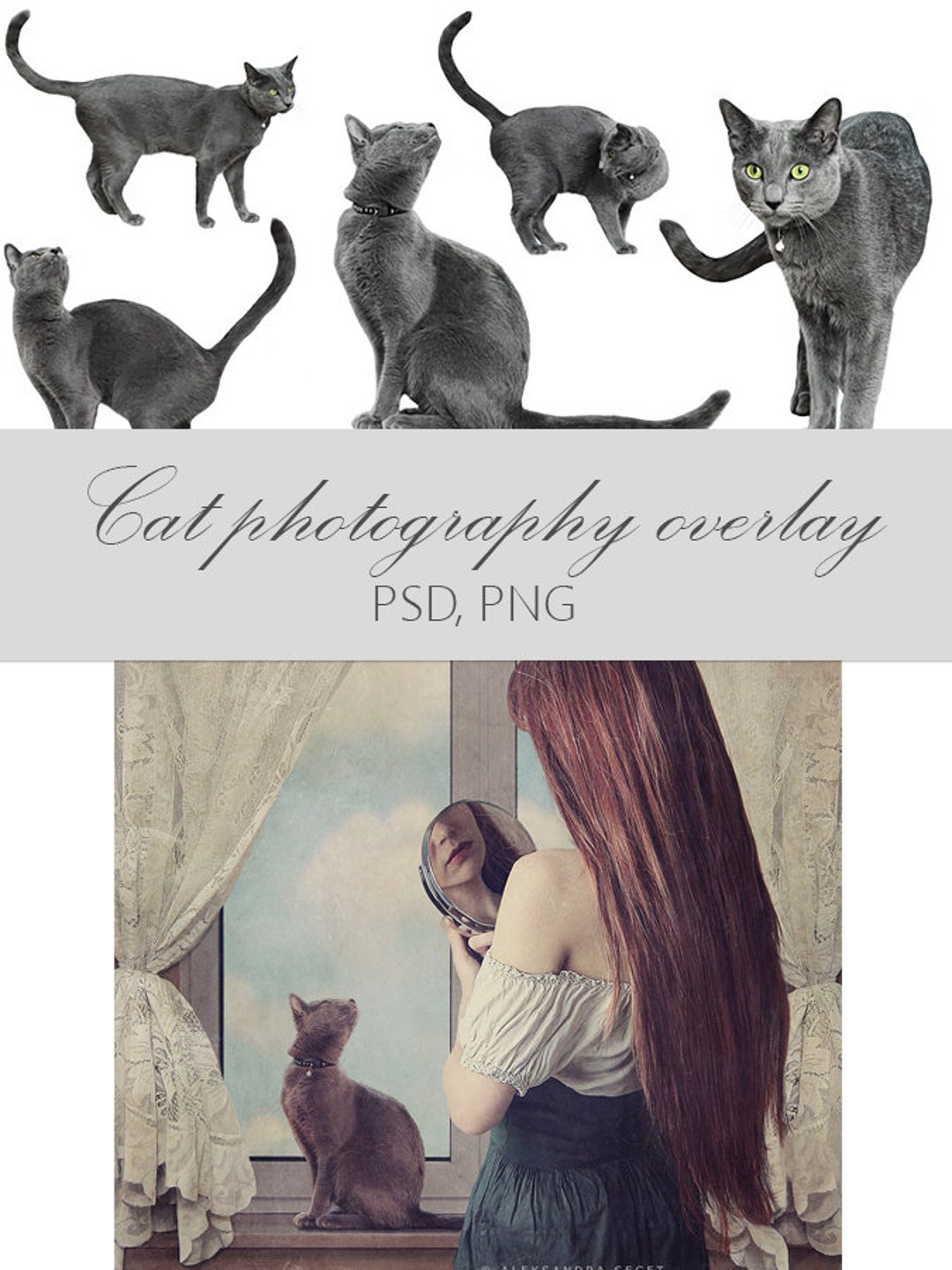 Cat Photography Overlays Digital Overlays Photography - Etsy