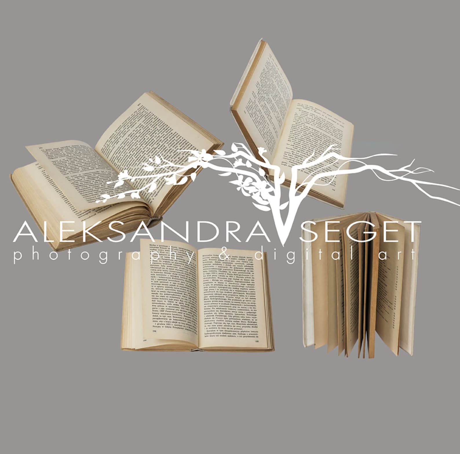 Flying Books Overlay, Photo Overlays, Books Photo Overlay, Old Books ...