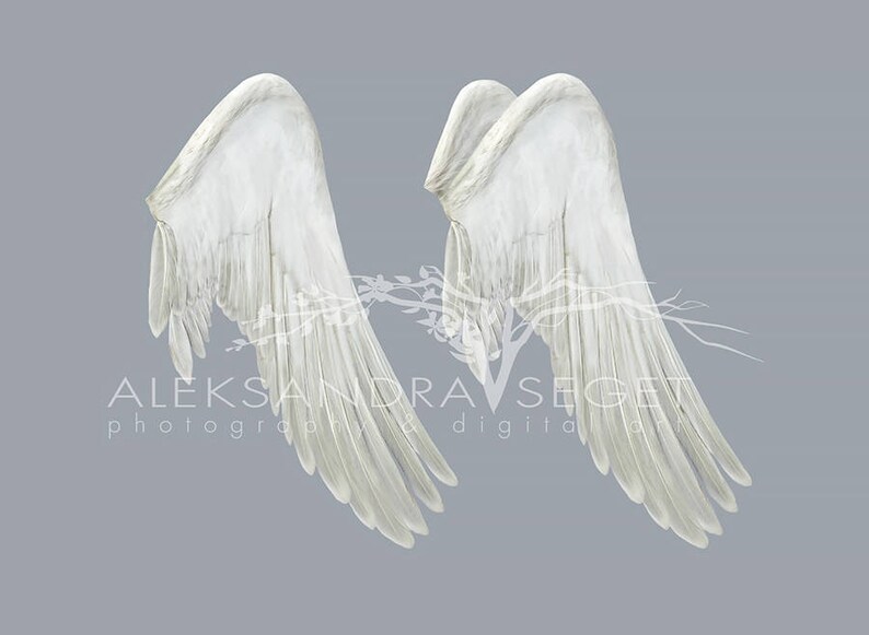 Wings Overlays, Photo Overlays, Photography Overlay, Digital ...