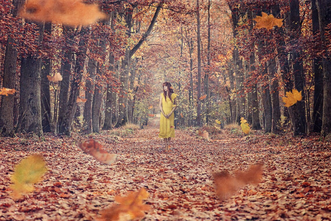 Falling Leaves Overlays Digital Overlay Autumn Overlays | Etsy