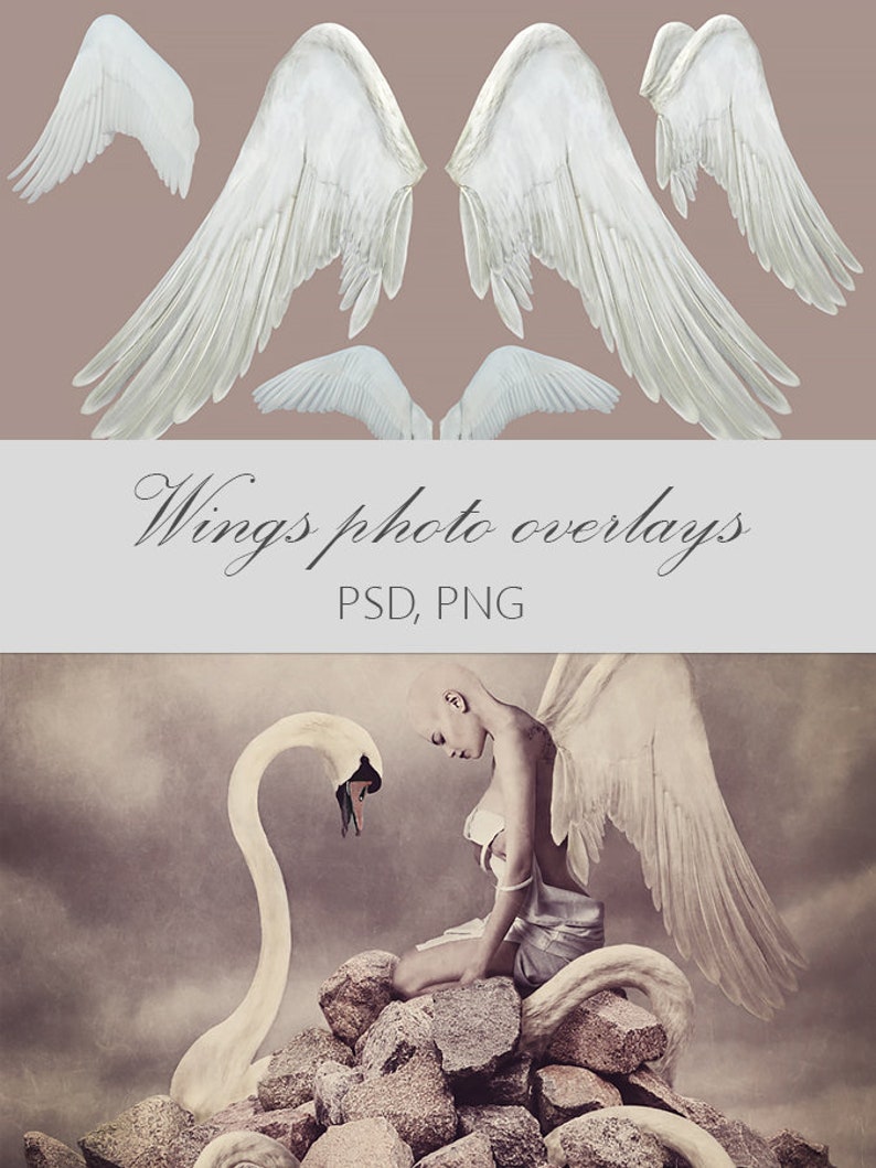 Wings Overlays, Photo Overlays, Photography Overlay, Digital ...
