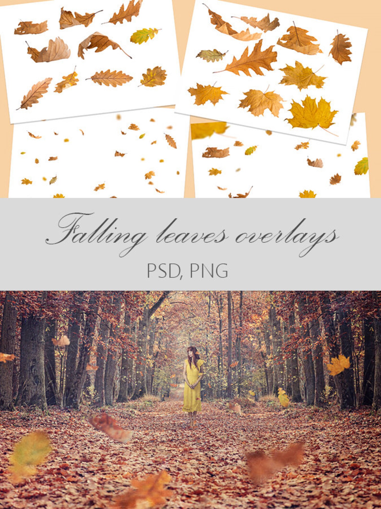 Falling Leaves Overlays, Digital Overlay, Autumn Overlays, Leaf Overlay ...