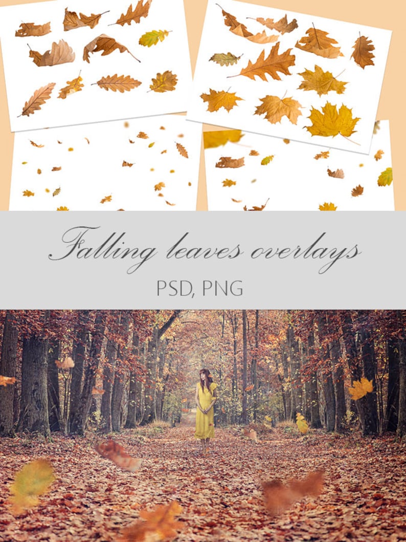 Falling Leaves Overlays, Digital Overlay, Autumn Overlays, Leaf Overlay ...