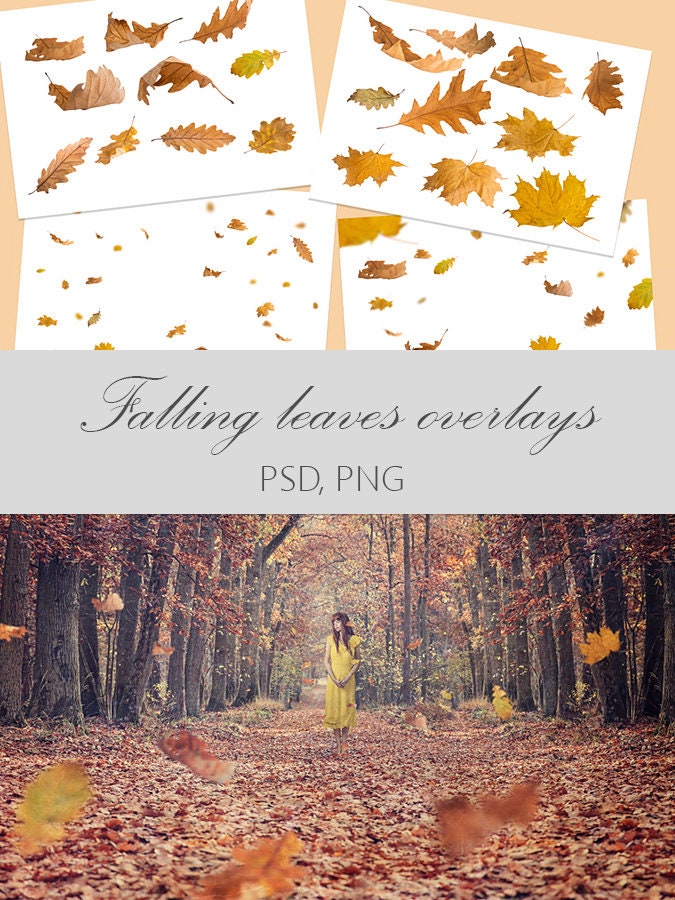 Falling Leaves Overlays, Digital Overlay, Autumn Overlays, Leaf Overlay ...