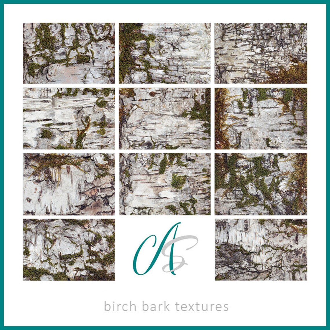 Birch Bark Textures, Natural Birch Bark,digital Paper, White Birch Tree ...