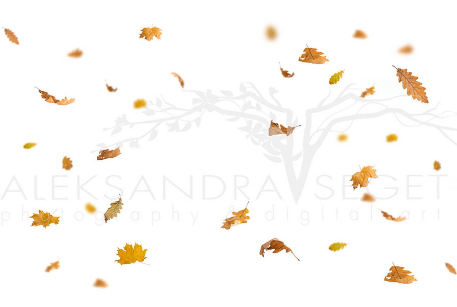 Falling Leaves Overlays Digital Overlay Autumn Overlays | Etsy