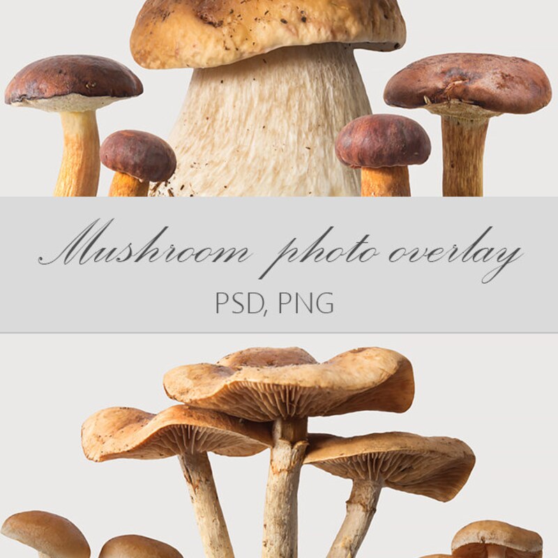 Scrapbook Overlays - Etsy