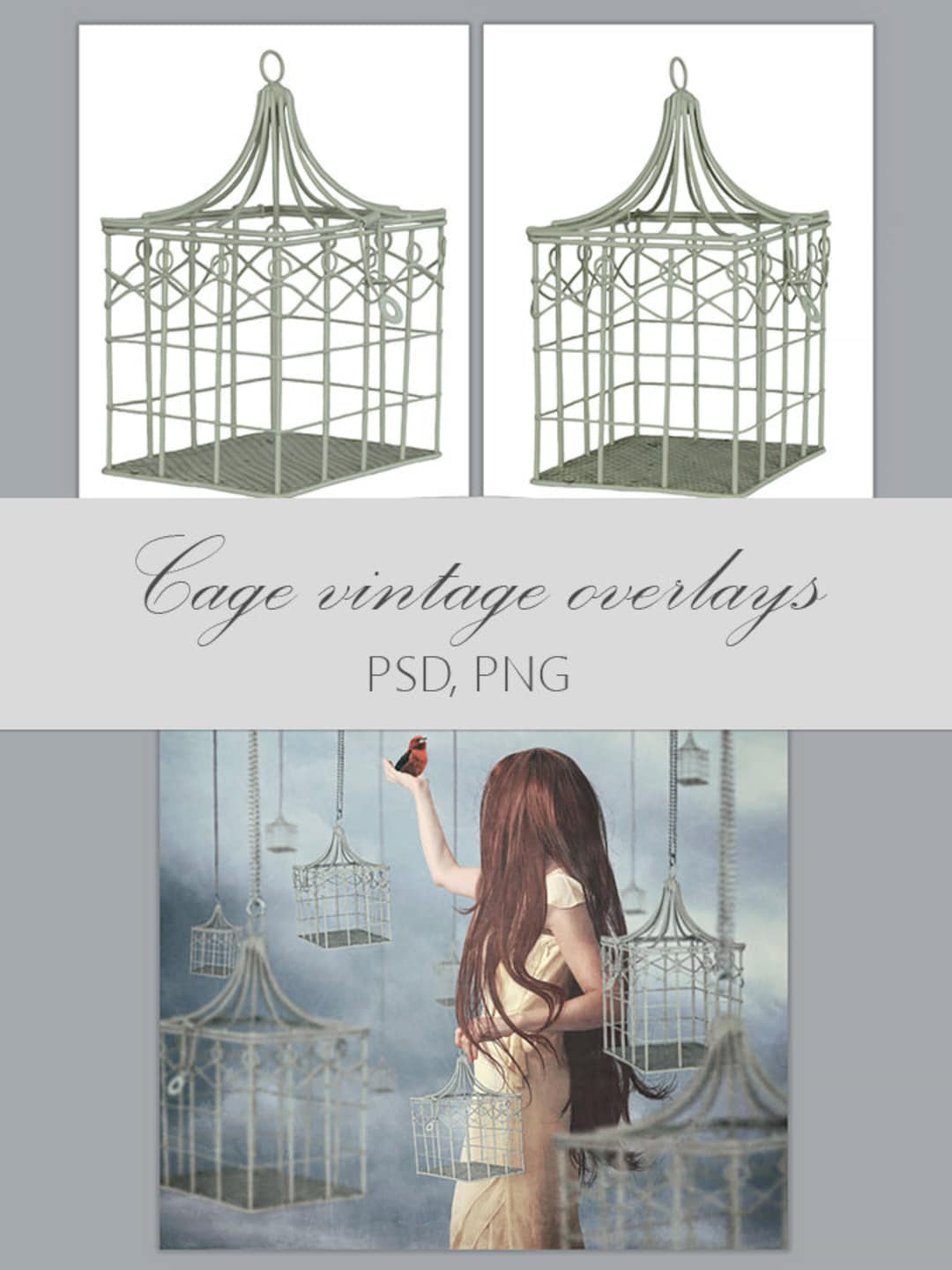 Cage Digital Overlay, Digital Overlay, Digital Cage, Vintage Overlay ...
