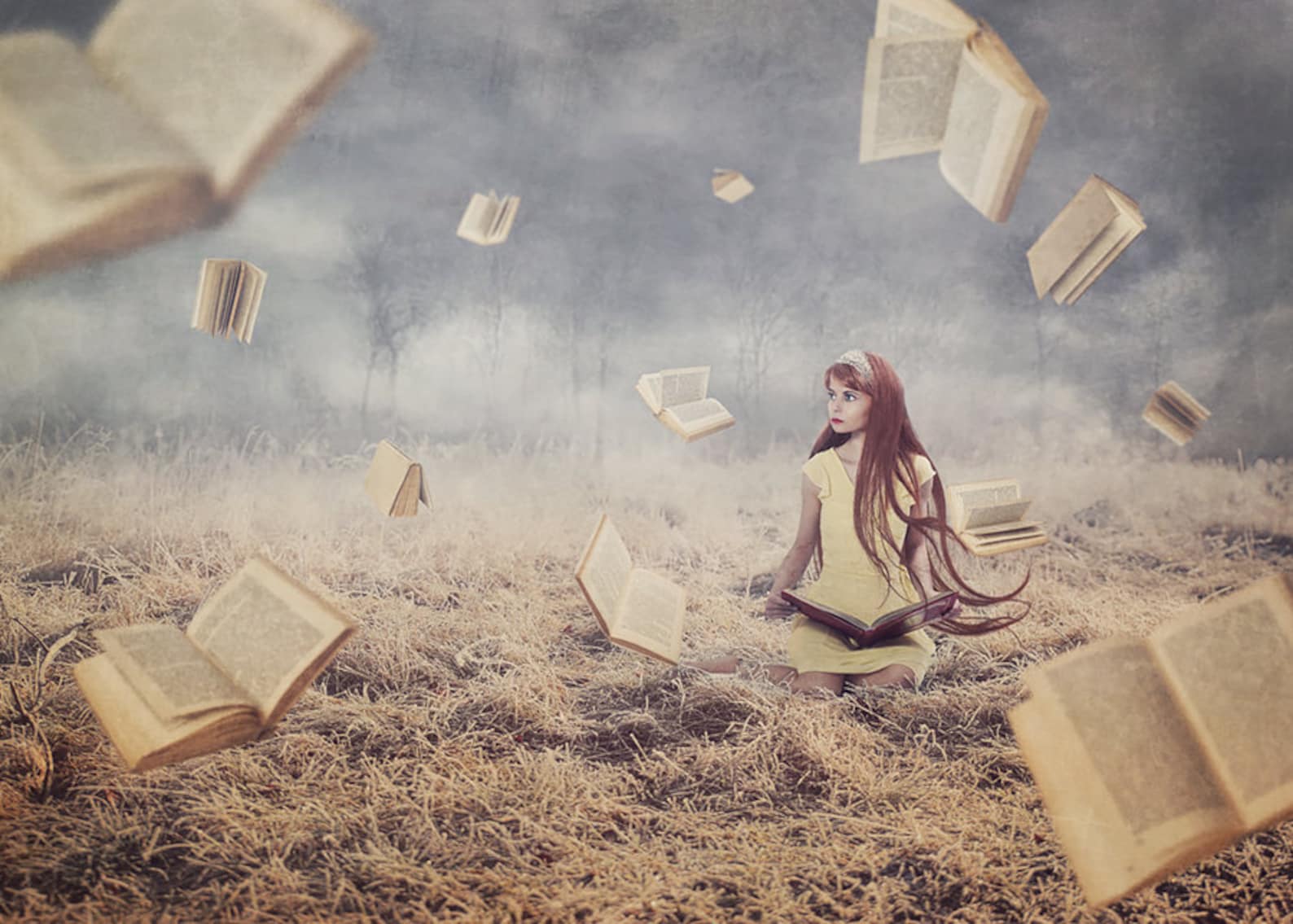 Flying Books Overlay, Photo Overlays, Books Photo Overlay, Old Books ...