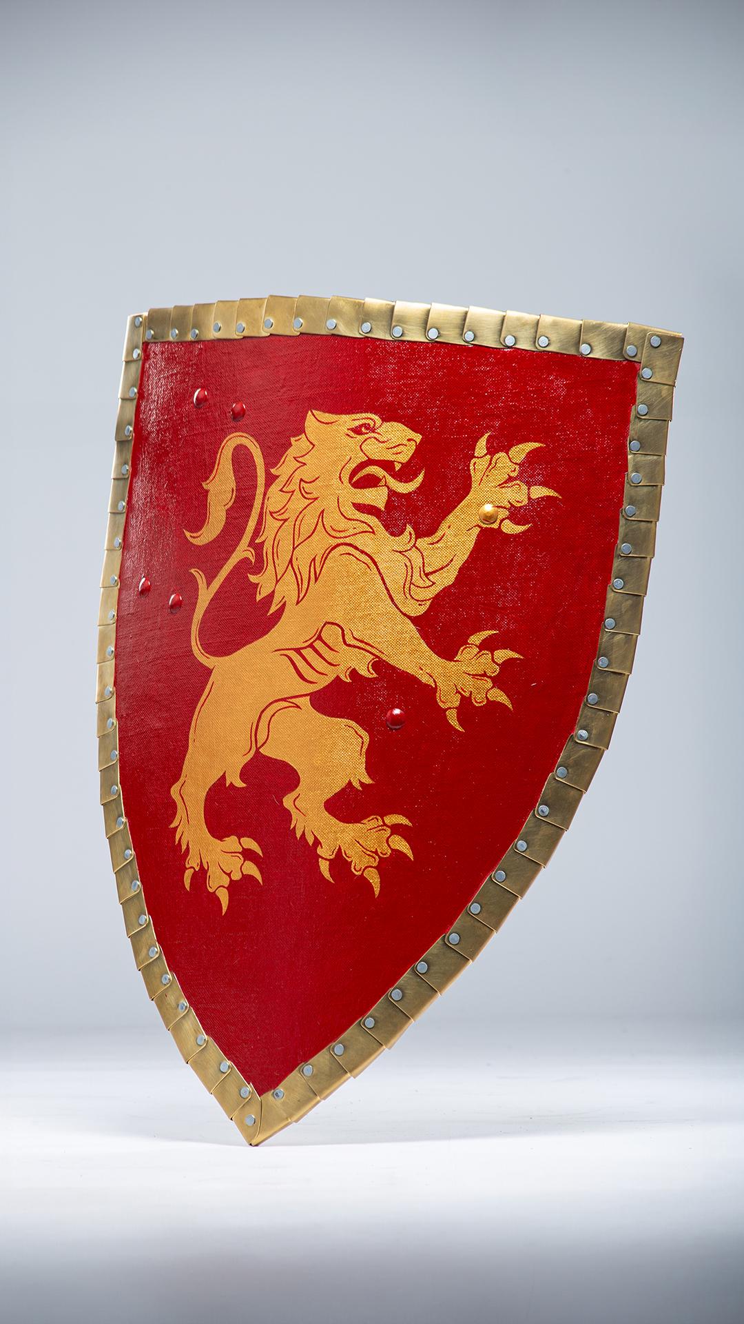 Shield Red and Gold, Reenactors Safety Shield, LARP Triangle Shield ...