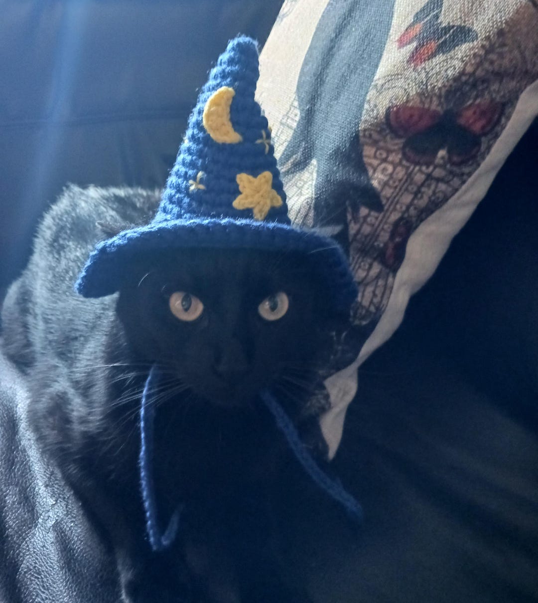 Cat Witch Hat, Cat Wizard Hat, Hats for Cats, Halloween Costume for ...