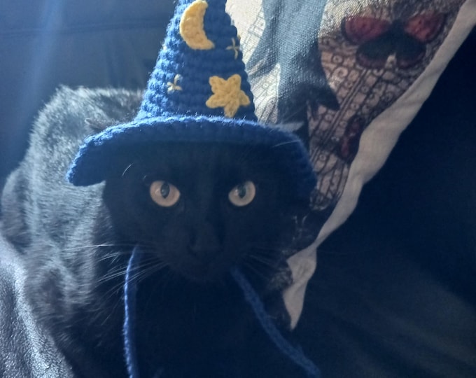 Cat Witch Hat, Cat Wizard Hat, Hats for Cats, Halloween Costume for ...