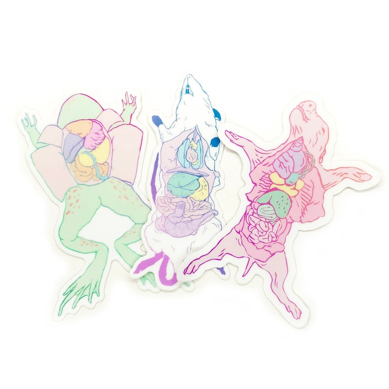 Science Sticker - Etsy