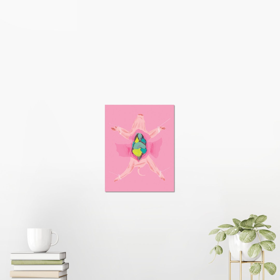 8x10 Inch Dissected Pig Art Print Unframed - Dissected Frog, Dissection ...